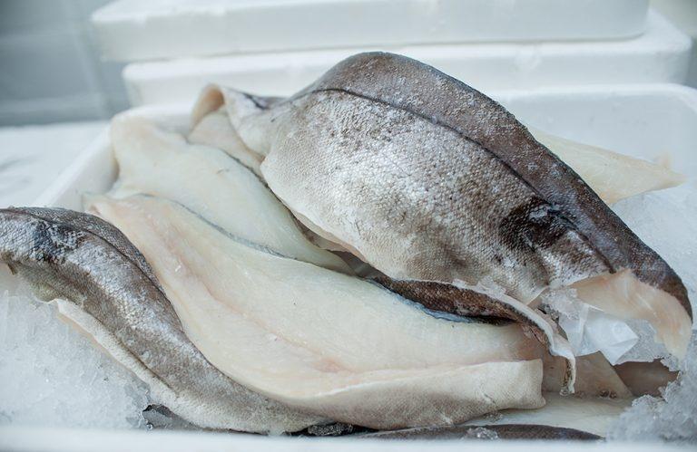 About Us - The Stickleback Fish Company Ltd