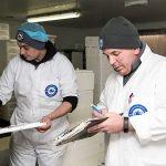 Wholesale Fish Supplier - The Stickleback Fish Company Ltd