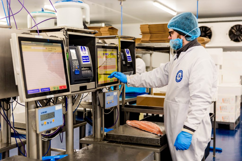 Why Stickleback? - The Stickleback Fish Company Ltd