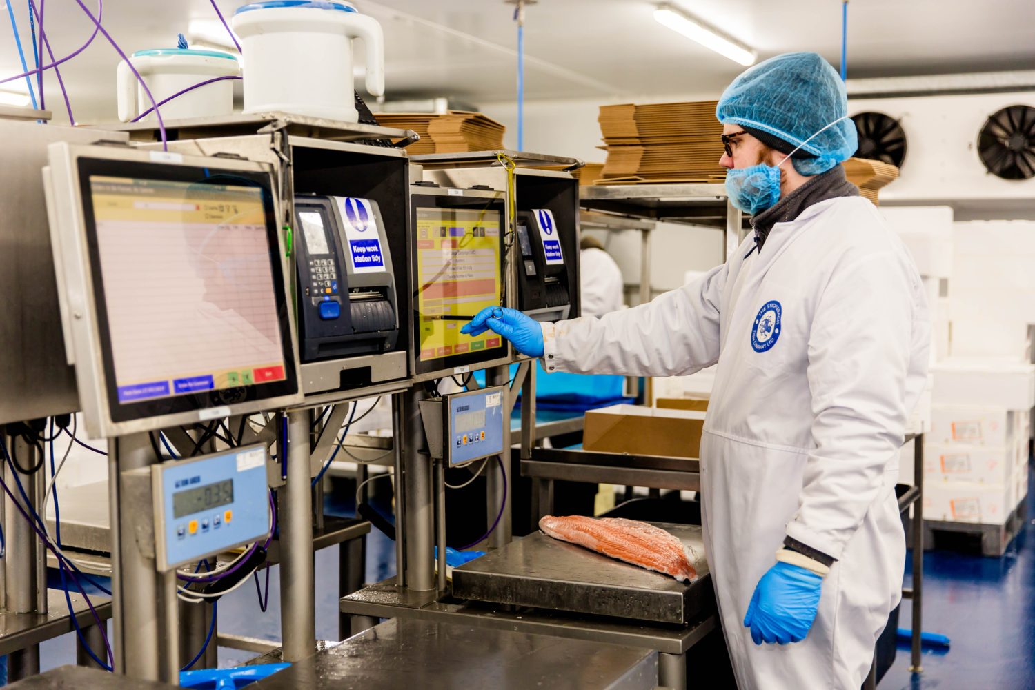 Why Stickleback? - The Stickleback Fish Company Ltd