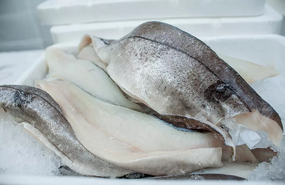 About Us - The Stickleback Fish Company Ltd